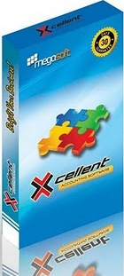 Company Profile Xcellent