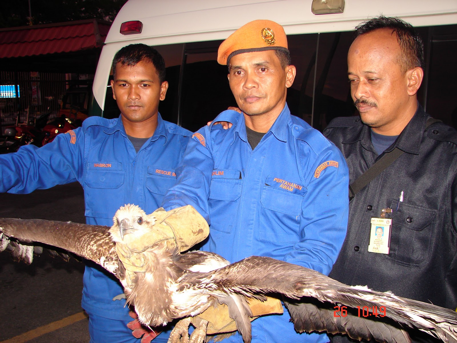 BERITA JPAM DEARAH KOTA SETAR: Amukkan Helang