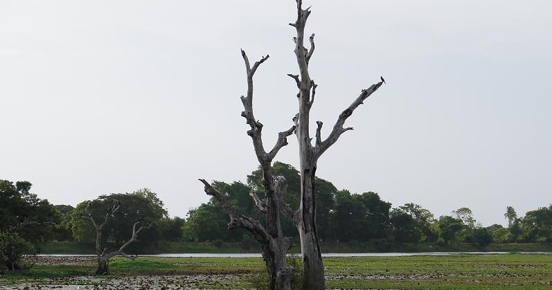 Kirigalpoththa: Anawilundawa