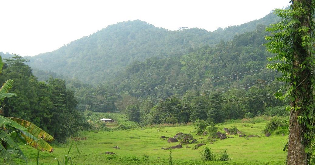 Kirigalpoththa: Dedugala