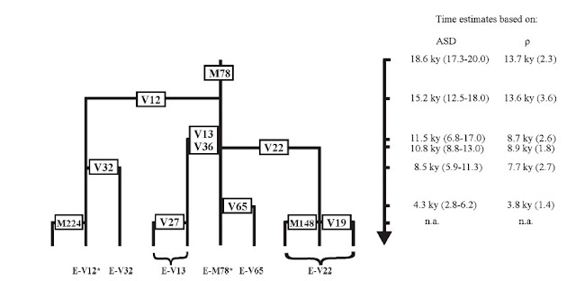 EgyptSearch Forums: Introducing Algerian Mt DNA and Y-Chromosome to ...