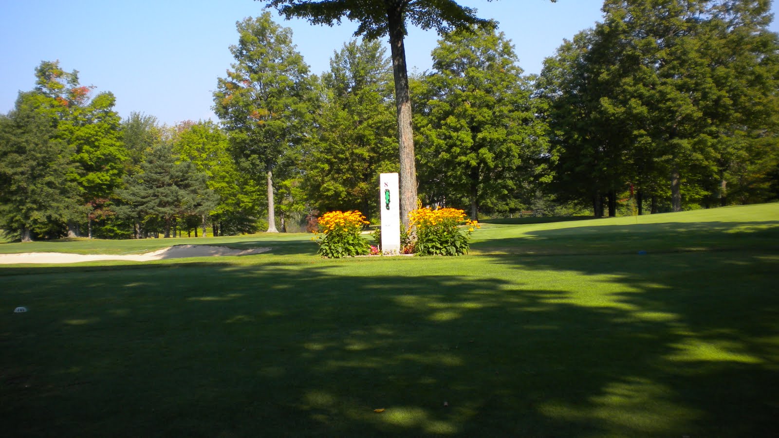 Travels with Jake and Stone: Allegheny Retreat