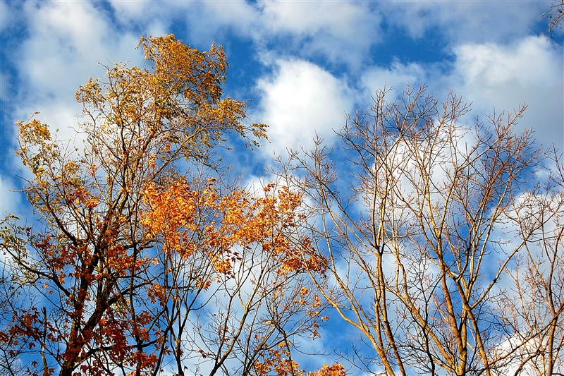 Capadia Designs: October's Bright Blue Weather