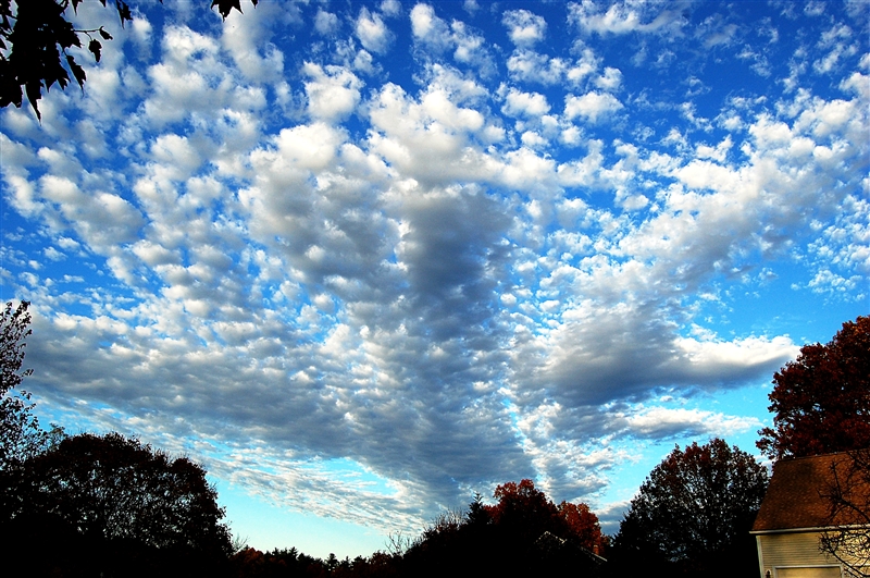 Capadia Designs: October's Bright Blue Weather