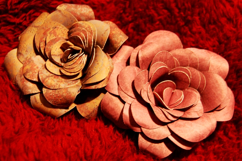 Capadia Designs: Paper Roses (and fabulous dresses....)