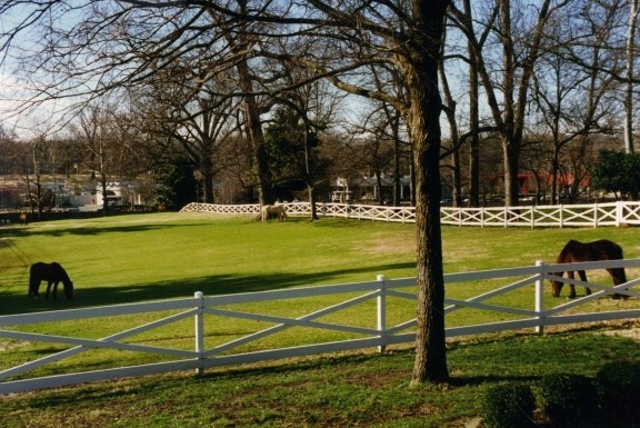 Reflections of katlupe: Memories Of My Life - Chapter Three - Visiting ...