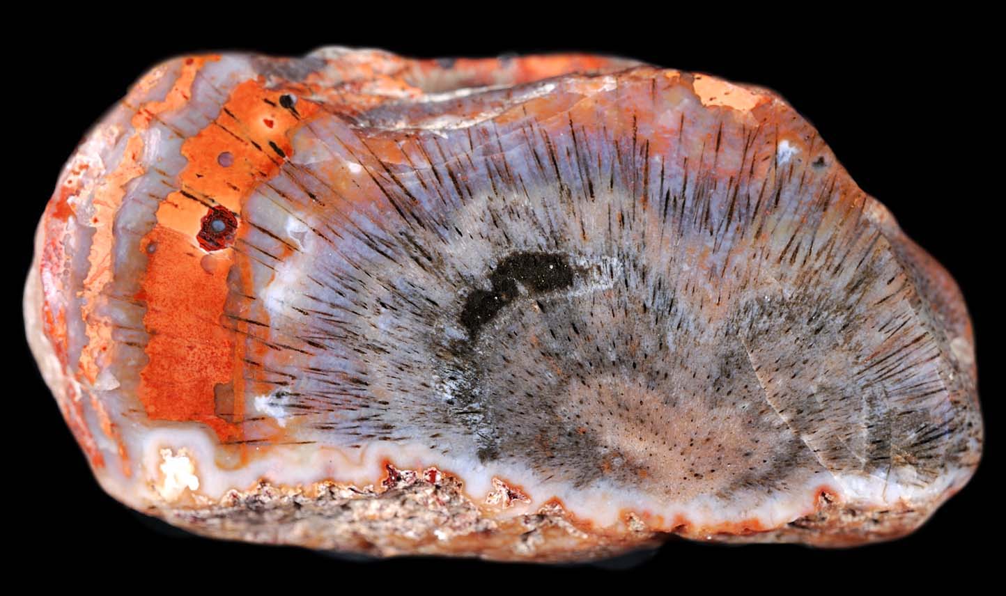 The Agatelady: Adventures and Events: Agate Photos