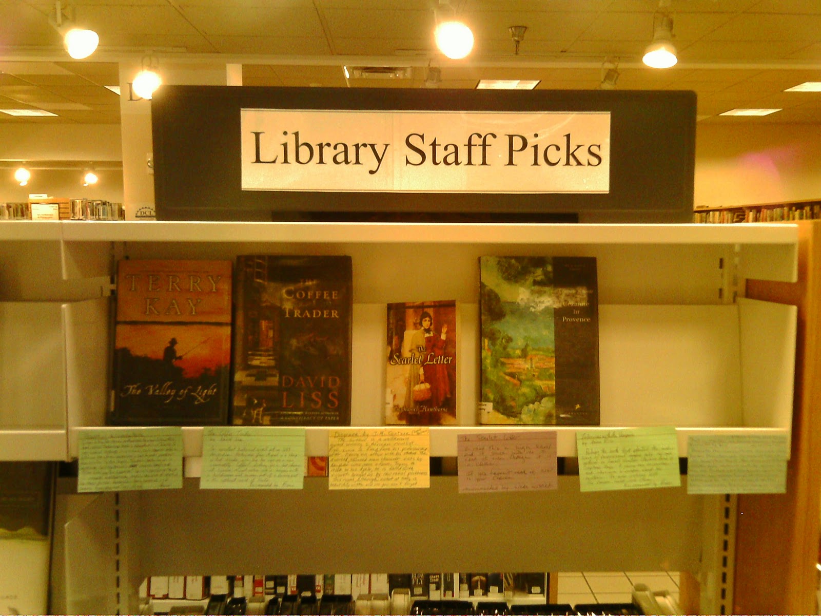 DeWitt Community Library Staff Picks: Library Staff Picks