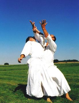 Martial Arts Training: Japanese Martial Arts