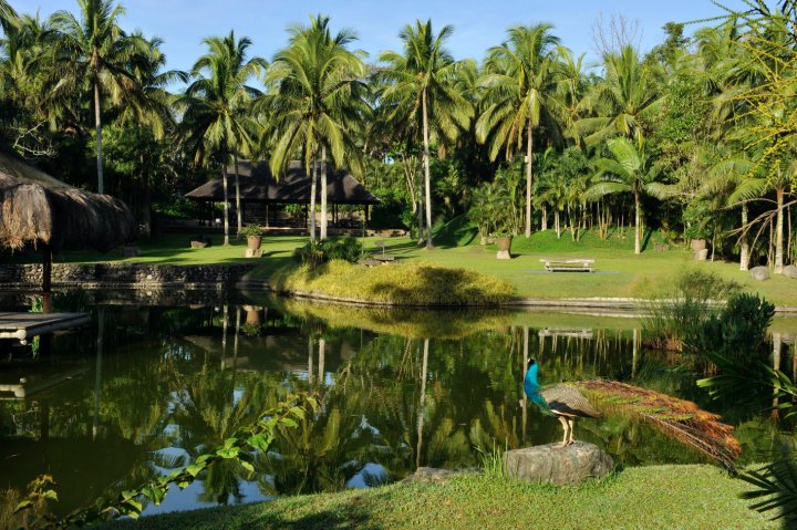 the seasoned first timer: The Farm at San Benito