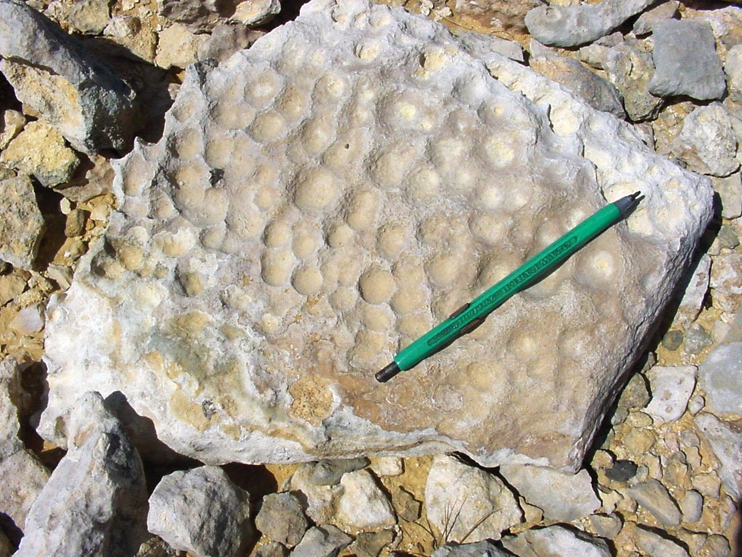 geomorfología: Meteorización