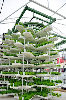 Malaysia = Malaysian: Vertical/High Rise Farming
