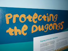 Maple Loo: The Anatomy of Pole