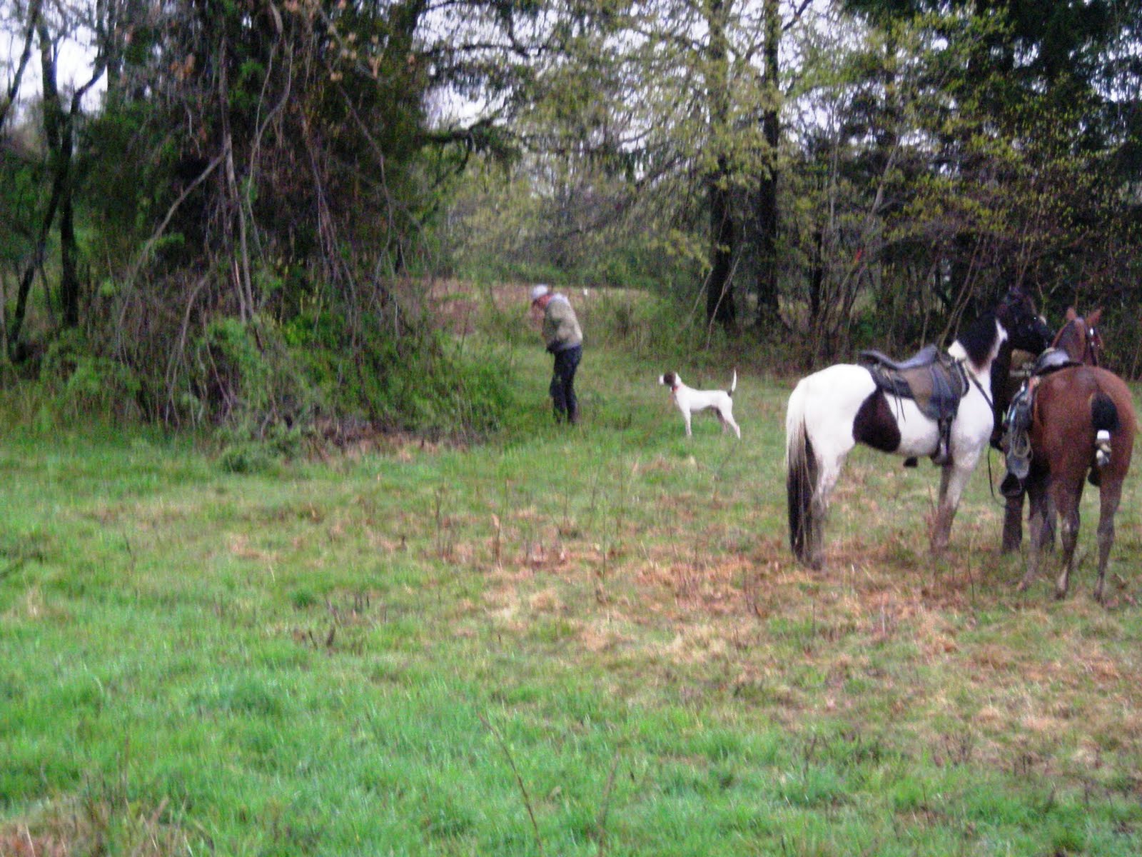 REGION 1 / ANEFTC: Region 1 AHSD Championship Report and Pictures