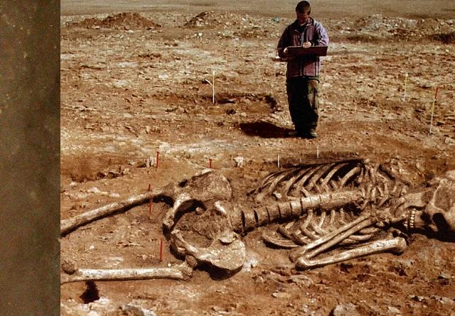 academia.edu Anakim giants Deuteronomy Joshua Goliath Philistines ...