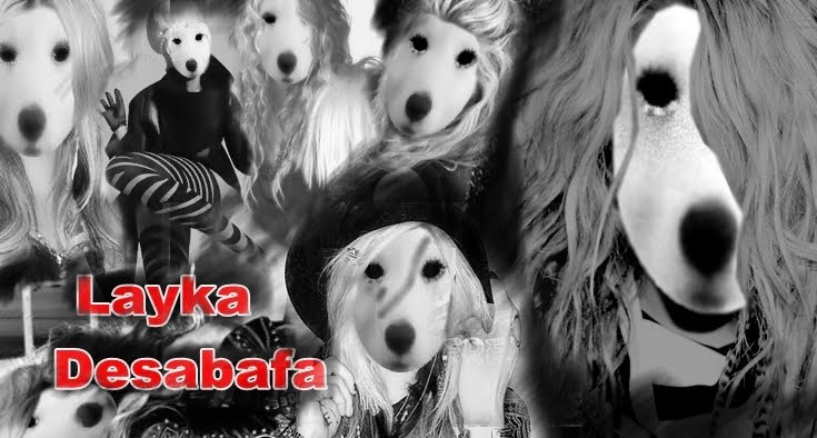 Revista: ㅤㅤDeFrenteComLayka e as suas novidades