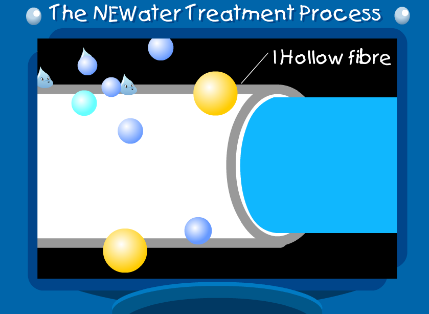 NEWater: Mechanisms of NEWater