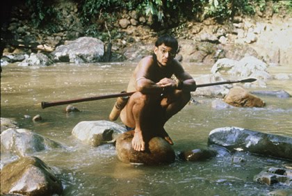 Penan In Sarawak: Penan In Sarawak History