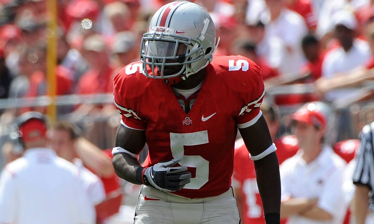 Forest City Fanatics: Buckeye Roundup