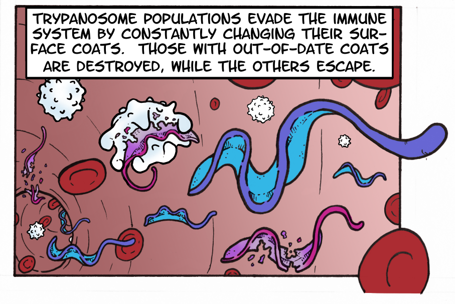 Edward Ross: comics and illustration: Another Day, Another Parasite.