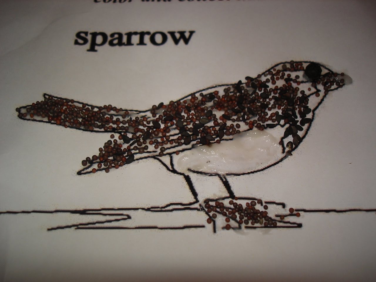 Harsha's World: Sparrow art work