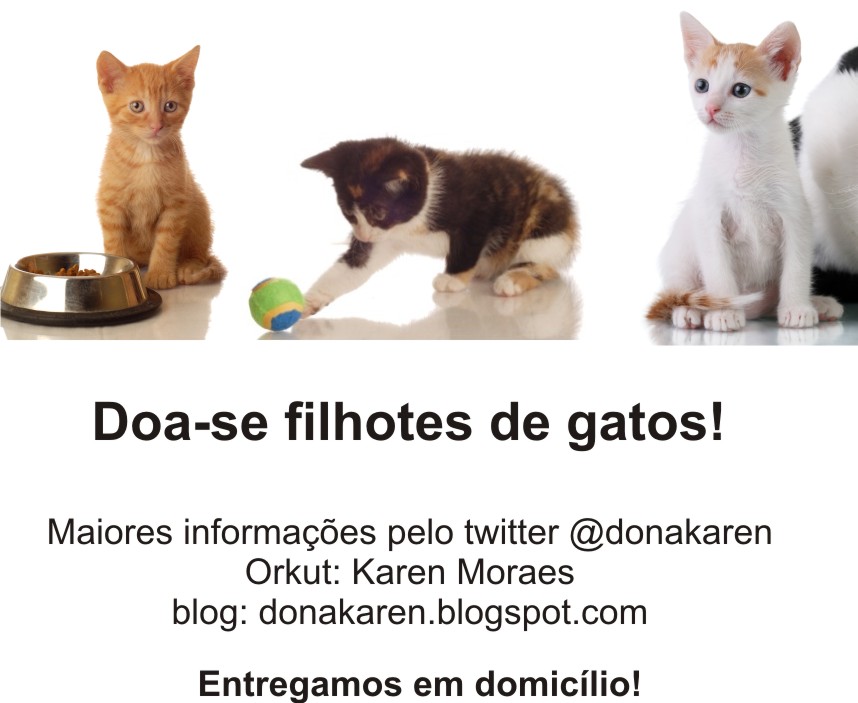 Coisas de Dona Karen: E a campanha continua!!! Doa-se filhotes!