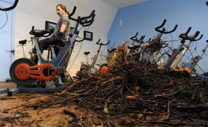 The truth about fitness: Dirty gyms aren't just icky to look at...