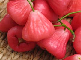 Laine's Abode: Atsal or Tambis