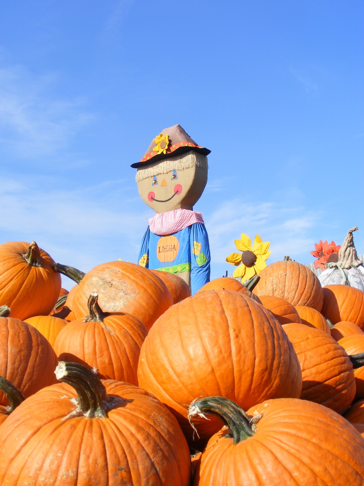 A New Day: October 2010