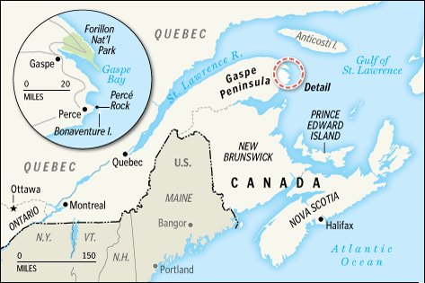 Upstate Outpost: Off to Gaspesie