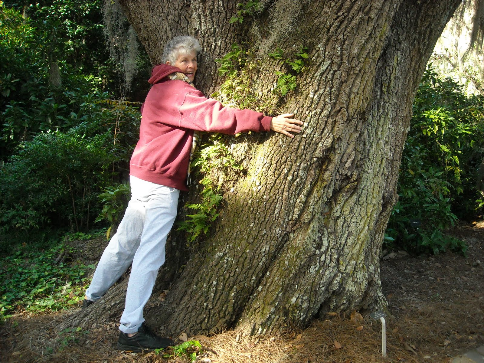 GREENING PENSACOLA: Today for Tomorrow