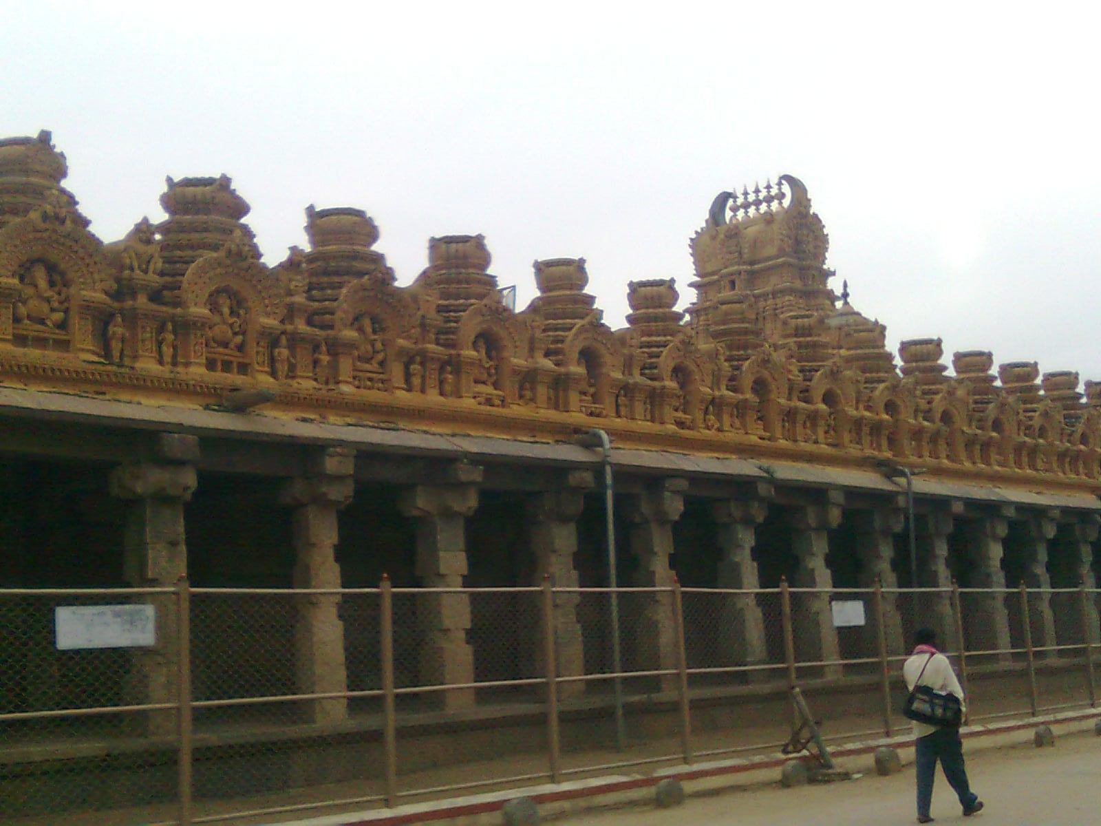 Interesting Things Of My Journey: Nanjangud Temple