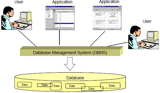 hamystery: Multimedia Database Systems