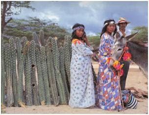 CULTURAS: CULTURA WAYU