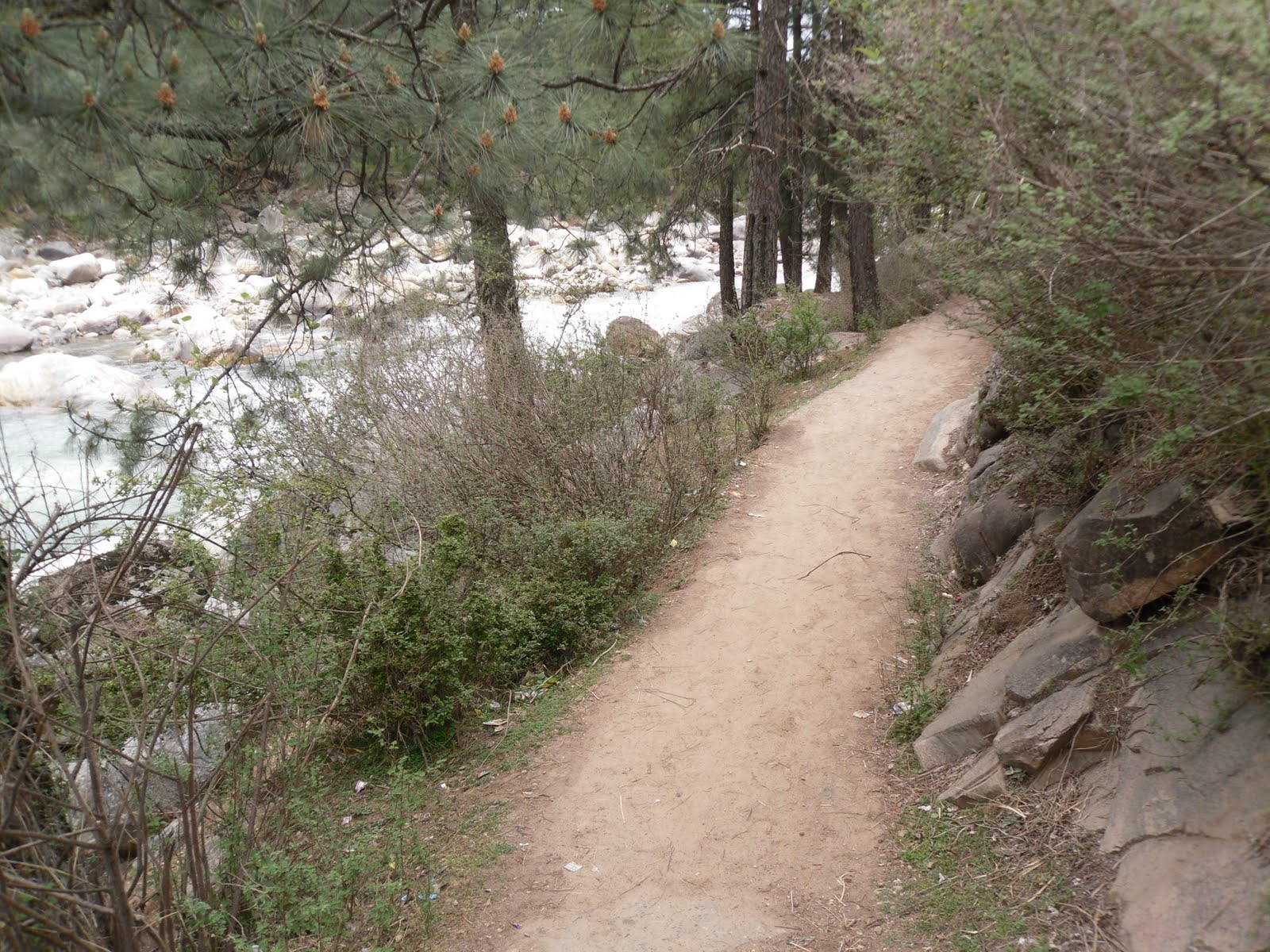 Smoke Colored Life: Day 2 in kasol, the home of malana cream, Manali.