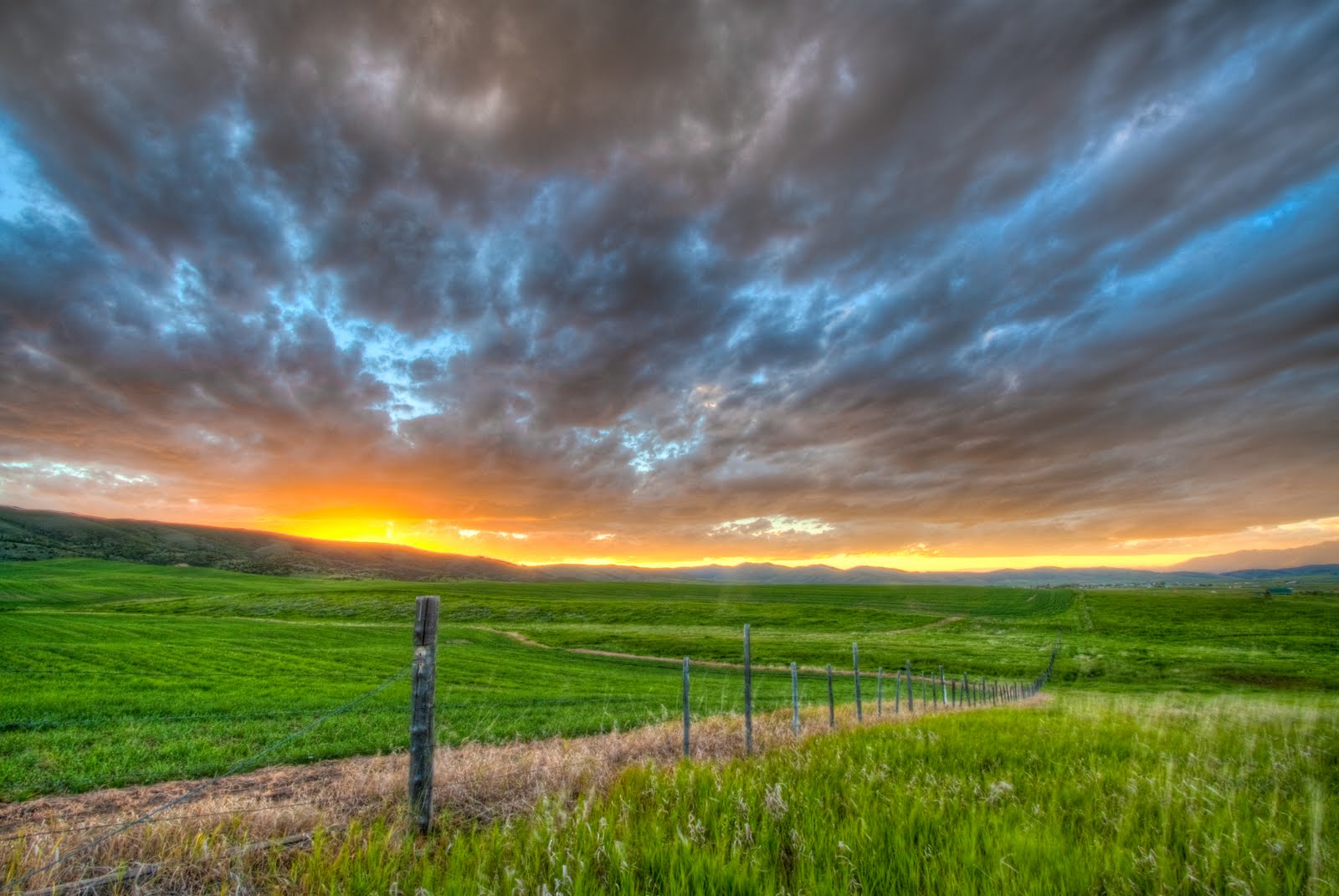 Ye Stewart Clan: Wyoming Sunset