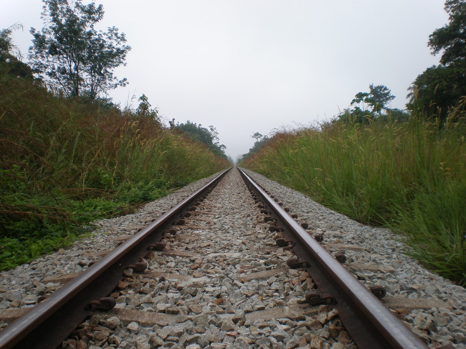 Midie Merapoh: Stesen Keretapi Kuala Lipis, Merapoh, Gua Musang