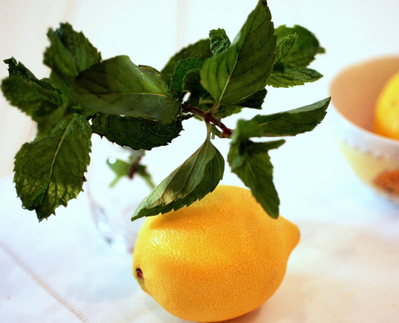 Tish Boyle Sweet Dreams: Raspberry and Lemon-Mint Sorbet with Pistachio ...