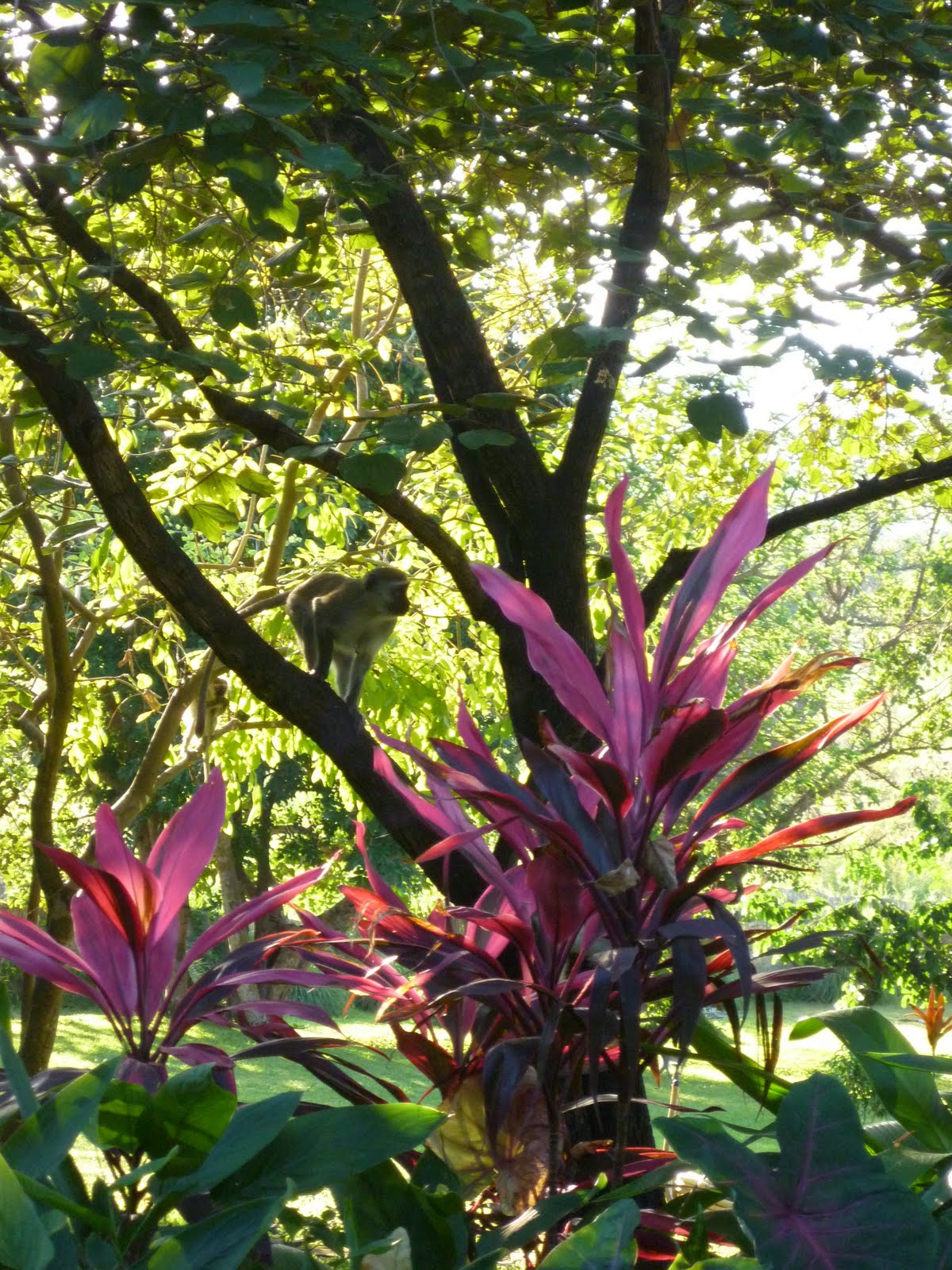 Africa-Cycle: From Nkhata Bay