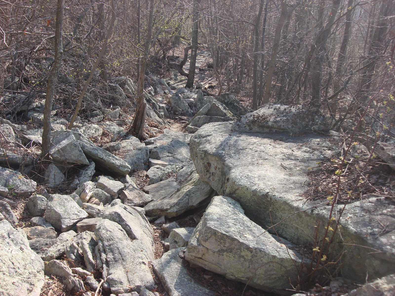 Wandering Virginia: Meneka Peak Hike - April 6, 2010