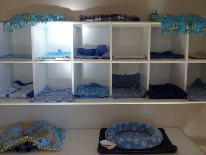 One Bark at a Time: Best Friends Animal Sanctuary - Monday part 2