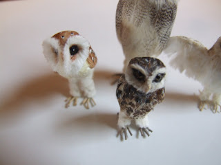 Tiny Treasures: Miniature Owls..
