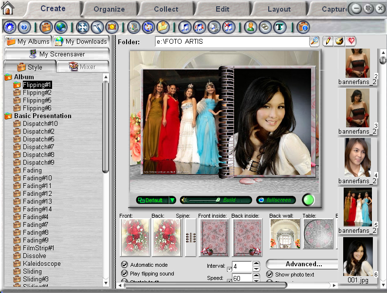 3d album picturepro platinum : elmenland