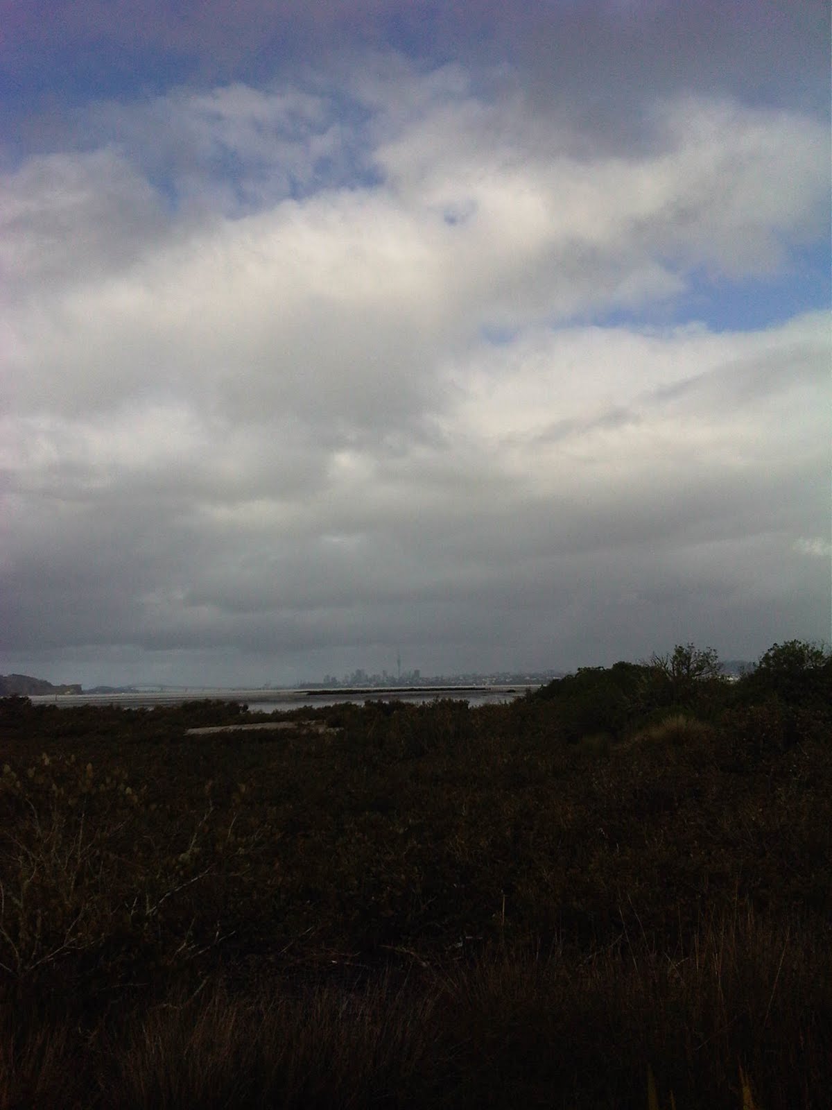 trailophile: Te Atatu Peninsula