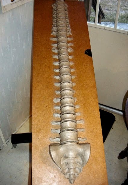 Vile Things Web Log: Spine in Clay