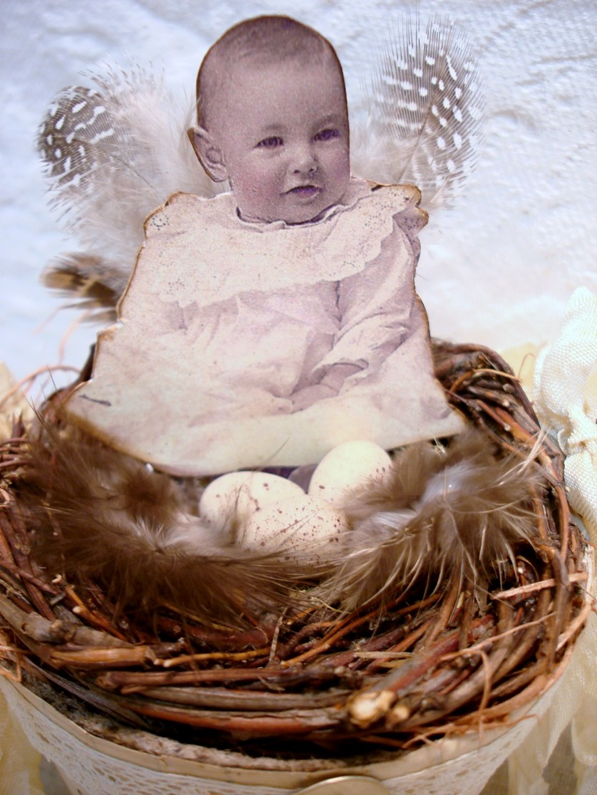 The Feathered Nest ~: Peat pot baby