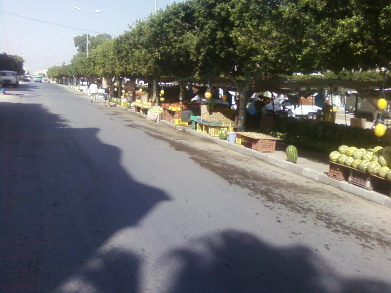 chaiebtaoufik: teboulba