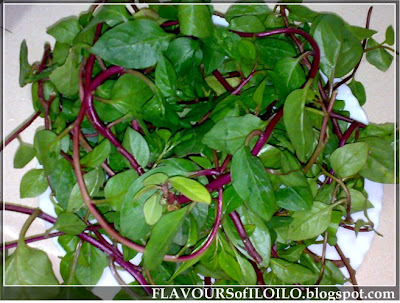 FLAVOURS OF ILOILO: Alugbati