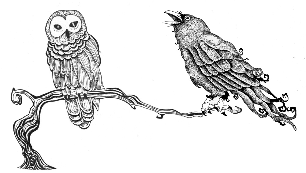 Stealing Shadows: Ravens vs Owls