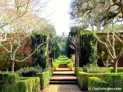Fabulous "F" gardens filled with trees